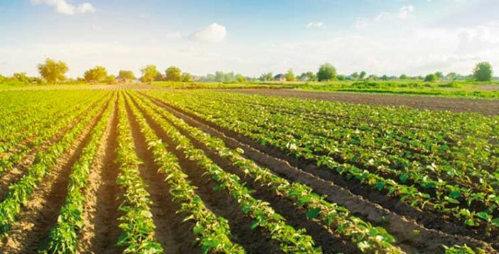 114 millions d’Euros de la BAD pour le programme d’appui au ...