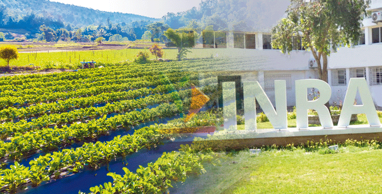 Agroécologie: Les avancées scientifiques «durables» de l’INRA – Aujourd ...