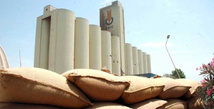 Blé tendre : le Maroc va importer 2,5 millions de tonnes – Aujourd'hui ...