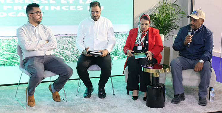 Culture fourragère : Le Blue Panicum, une plante plus résistante à l ...