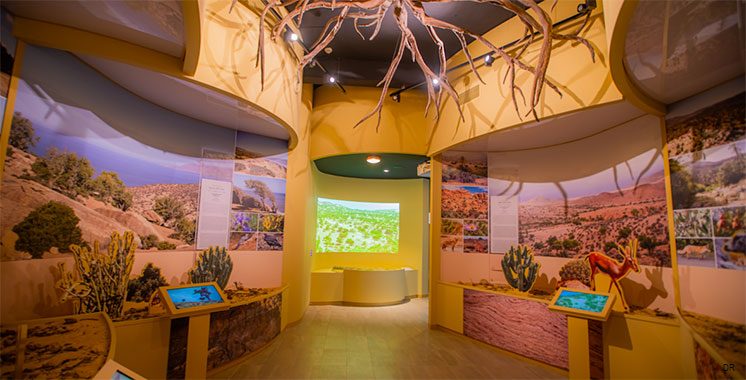 En réaffirmant son engagement pour la préservation de cet arbre ...