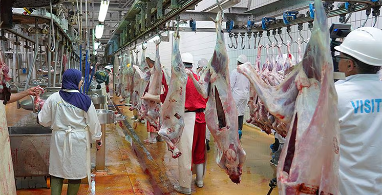 Voici les tarifs d’abattage et d’hébergement aux abattoirs de ...