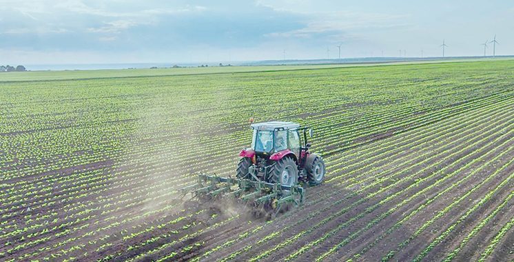 L’agriculture marocaine fait sa révolution – Aujourd'hui le Maroc