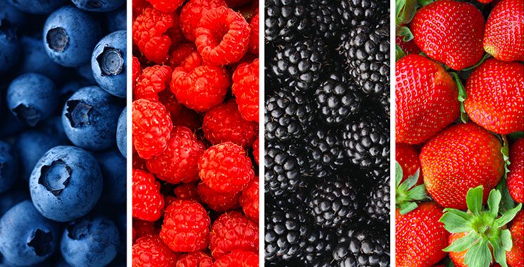 Filière des petits fruits rouges : Des experts internationaux en ...