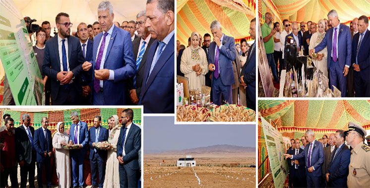 Développement rural intégré des zones de montagne : Guercif lance des ...