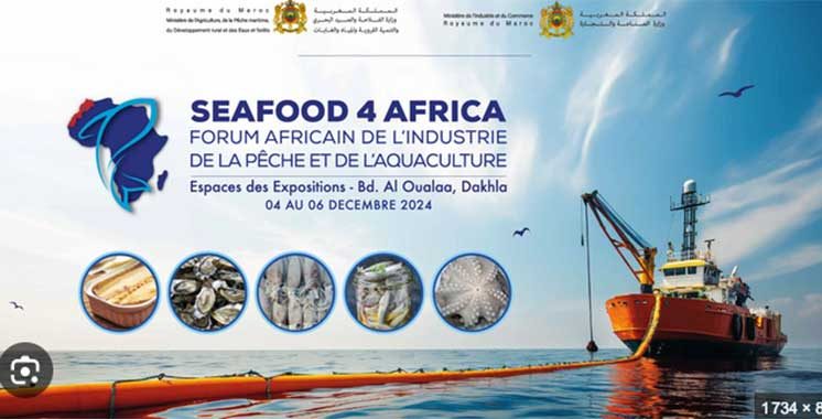 Organisé par la FENIP à Dakhla : Seafood 4 Africa 2024 se tiendra du 4 ...