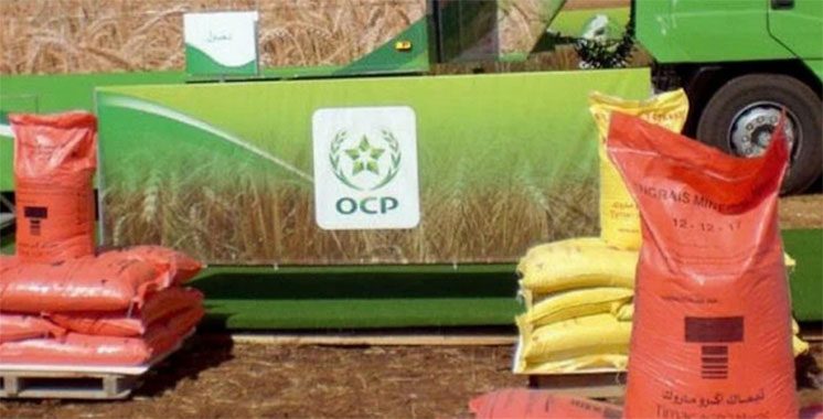 En s’appuyant sur le Strategic program Mzinda-Meskala : OCP Nutricrops accélère son expansion ...