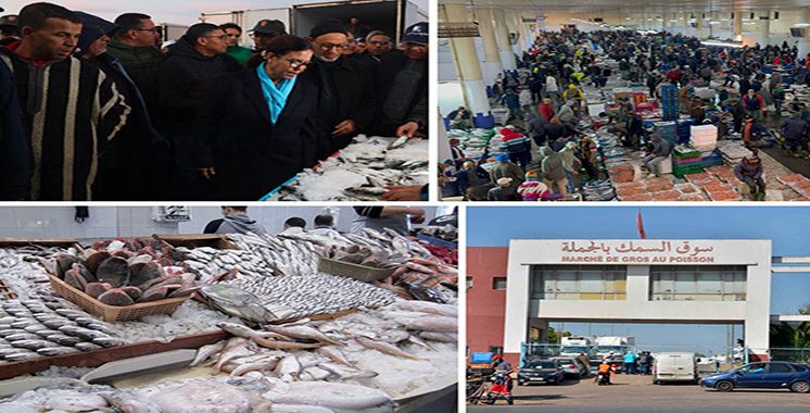 Offre abondante en poisson au marché de gros de Casablanca : Plus de ...