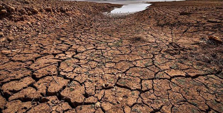 Grace robert xxx starbucks in conclusion I am about to