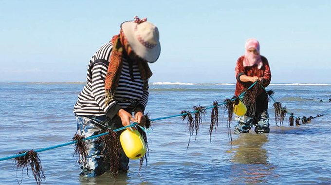 Aide sociale directe: le gouvernement lance l’opération d ...